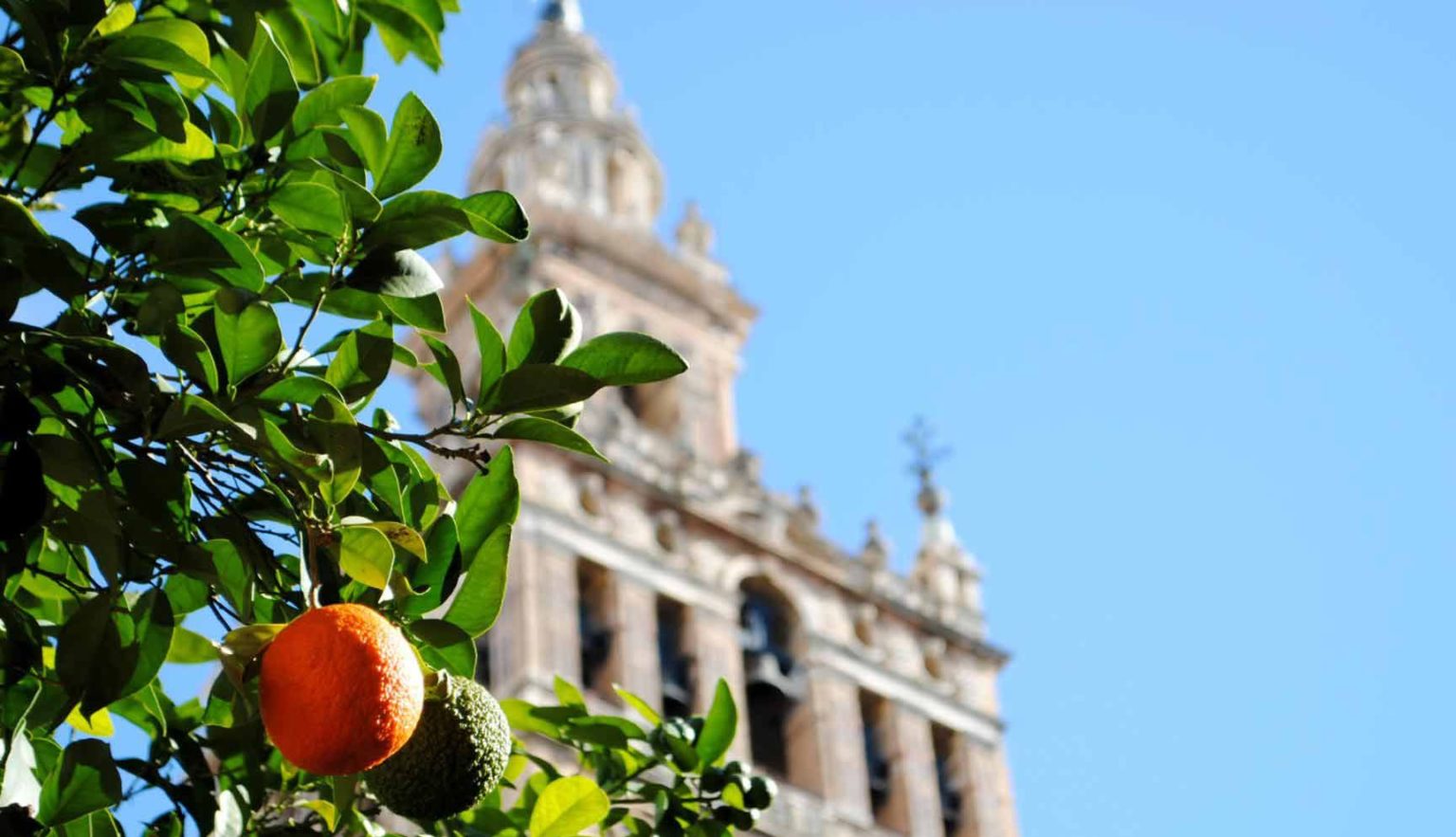¿CÓMO ES SEVILLA? ☛ Te explicamos toda Sevilla!!.